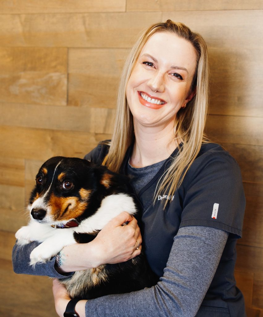 Board of Directors – Veterinary Hospitals Association
