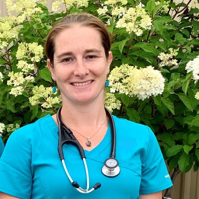 Board of Directors – Veterinary Hospitals Association