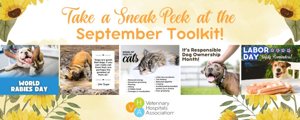 Get Social This September With These Ideas for Veterinary Social Media ...