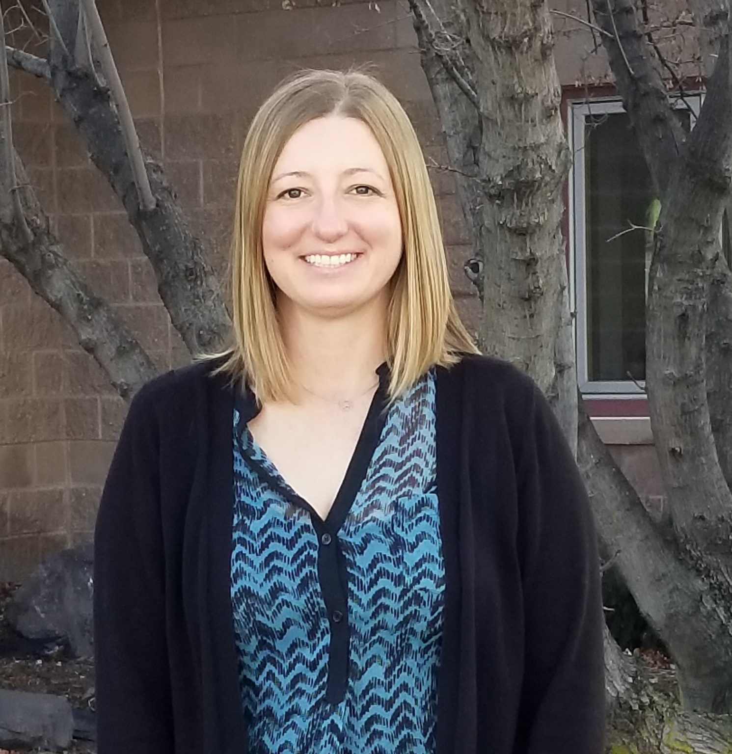 Meet The Team – Veterinary Hospitals Association