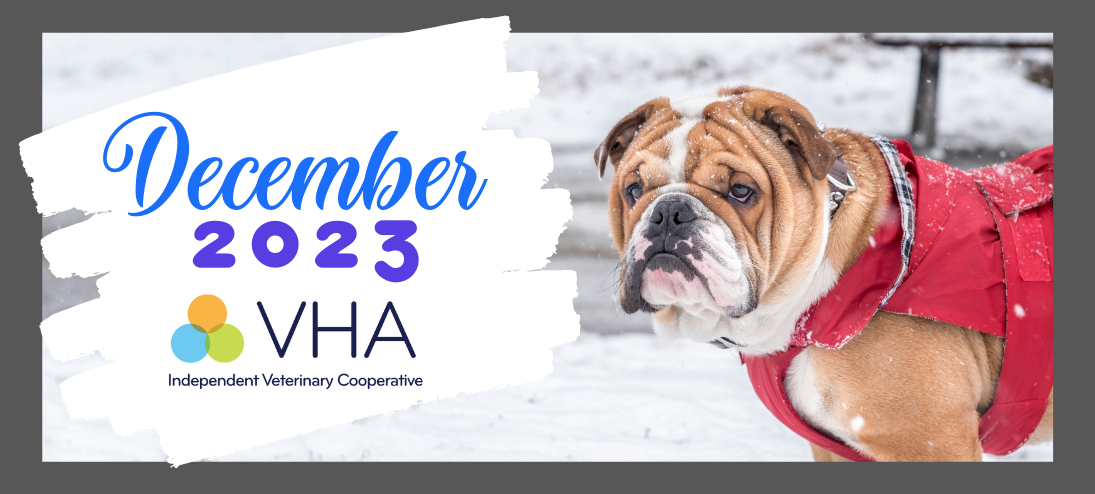 Veterinary Hospitals Association – Helping Veterinary Practices With ...