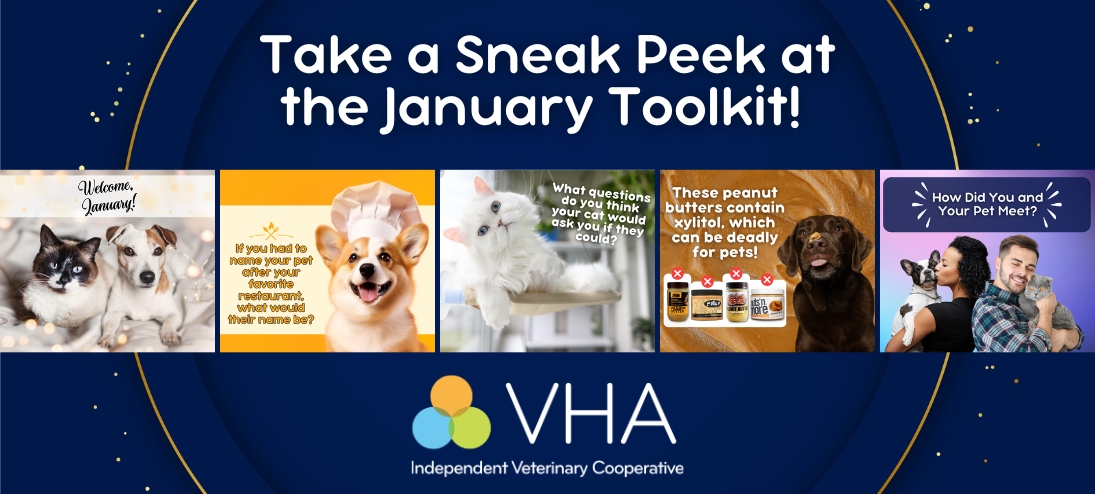 New Year, New Social Media Ideas For Your Vet Clinic This January ...