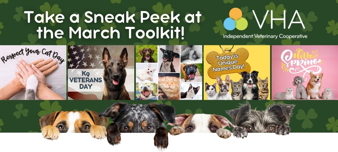 Marching Ahead: Elevate Your Veterinary Clinic’s Social Media Game ...