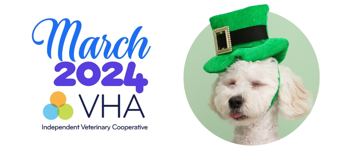 News & Blog – Veterinary Hospitals Association