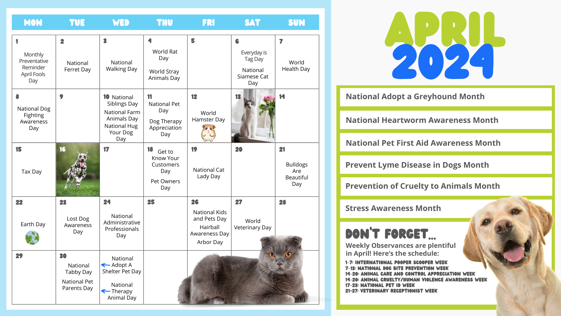 Spring into April With These Awesome Ideas For Your Veterinary Clinic’s ...