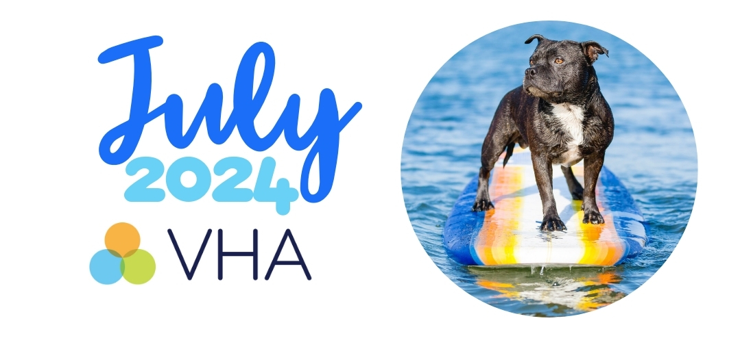 Veterinary Hospitals Association – Helping Veterinary Practices With ...