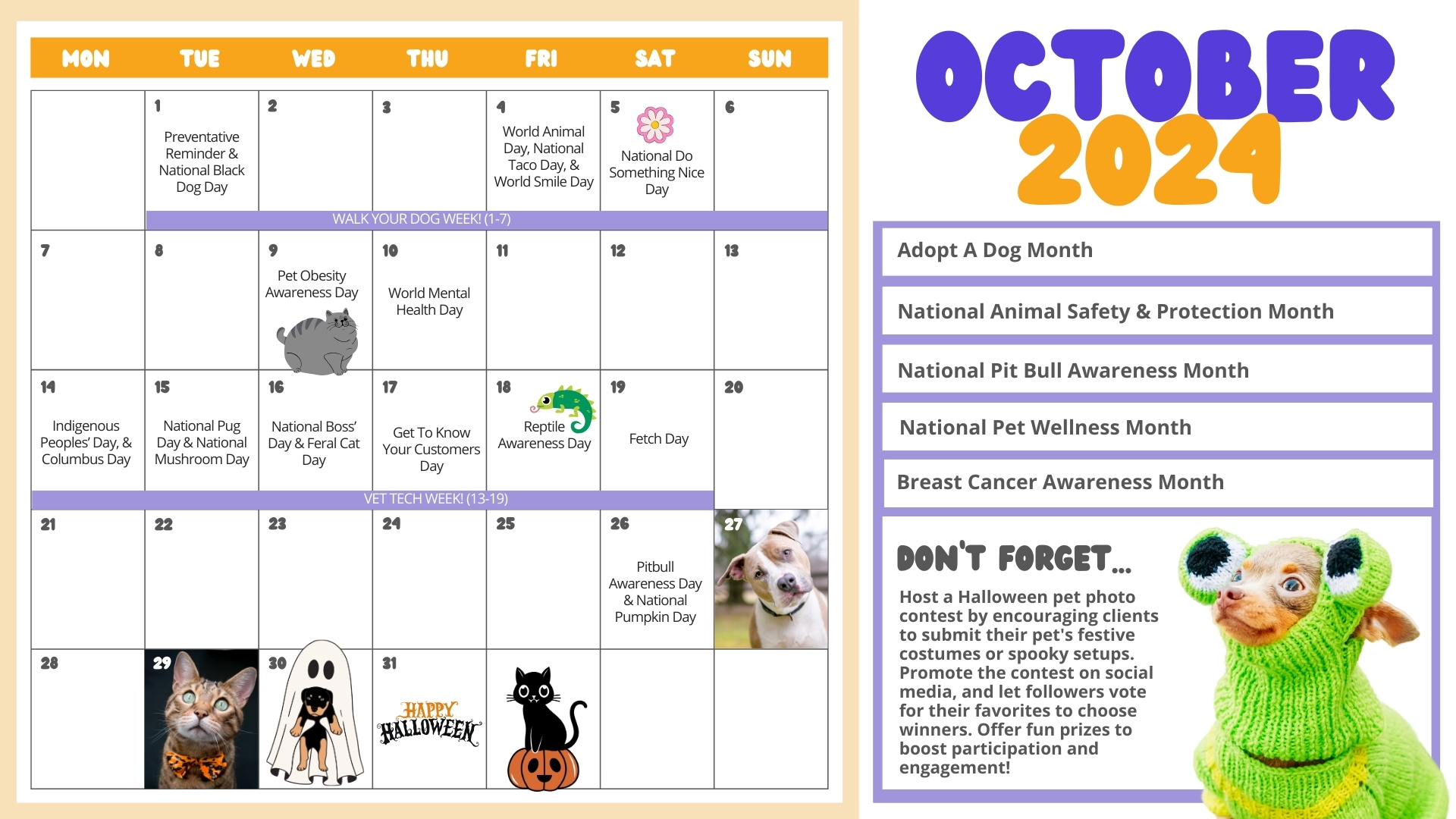 October’s Spooktacular Social Media Tips for Veterinary Clinics ...
