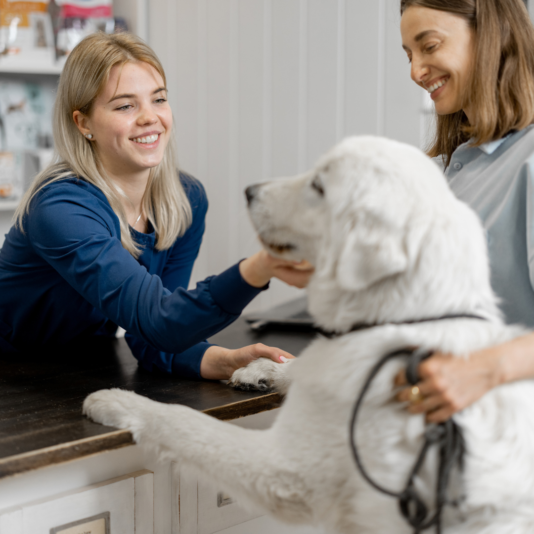 Improving Client Retention Through Exceptional Customer Service ...