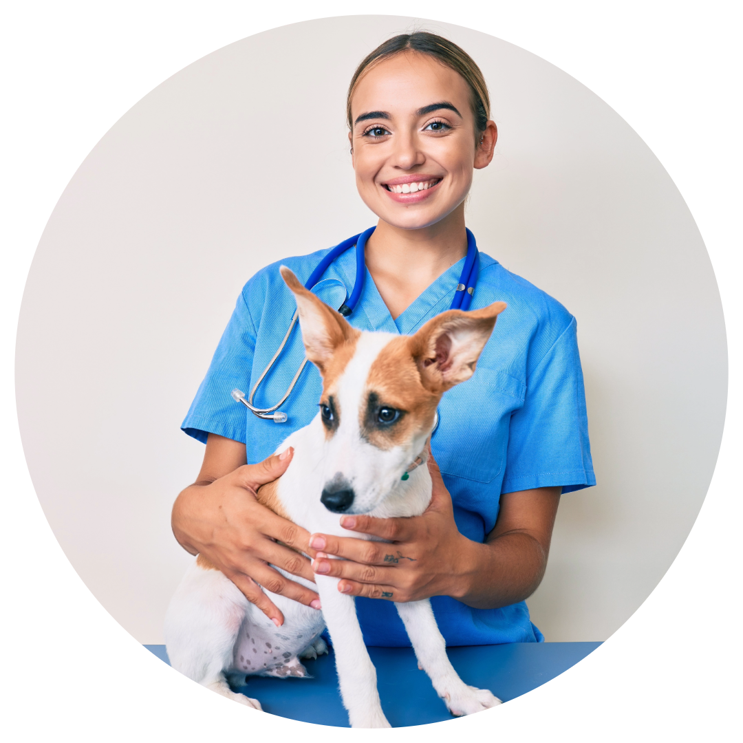 Veterinary Hospitals Association – Helping Veterinary Practices With ...