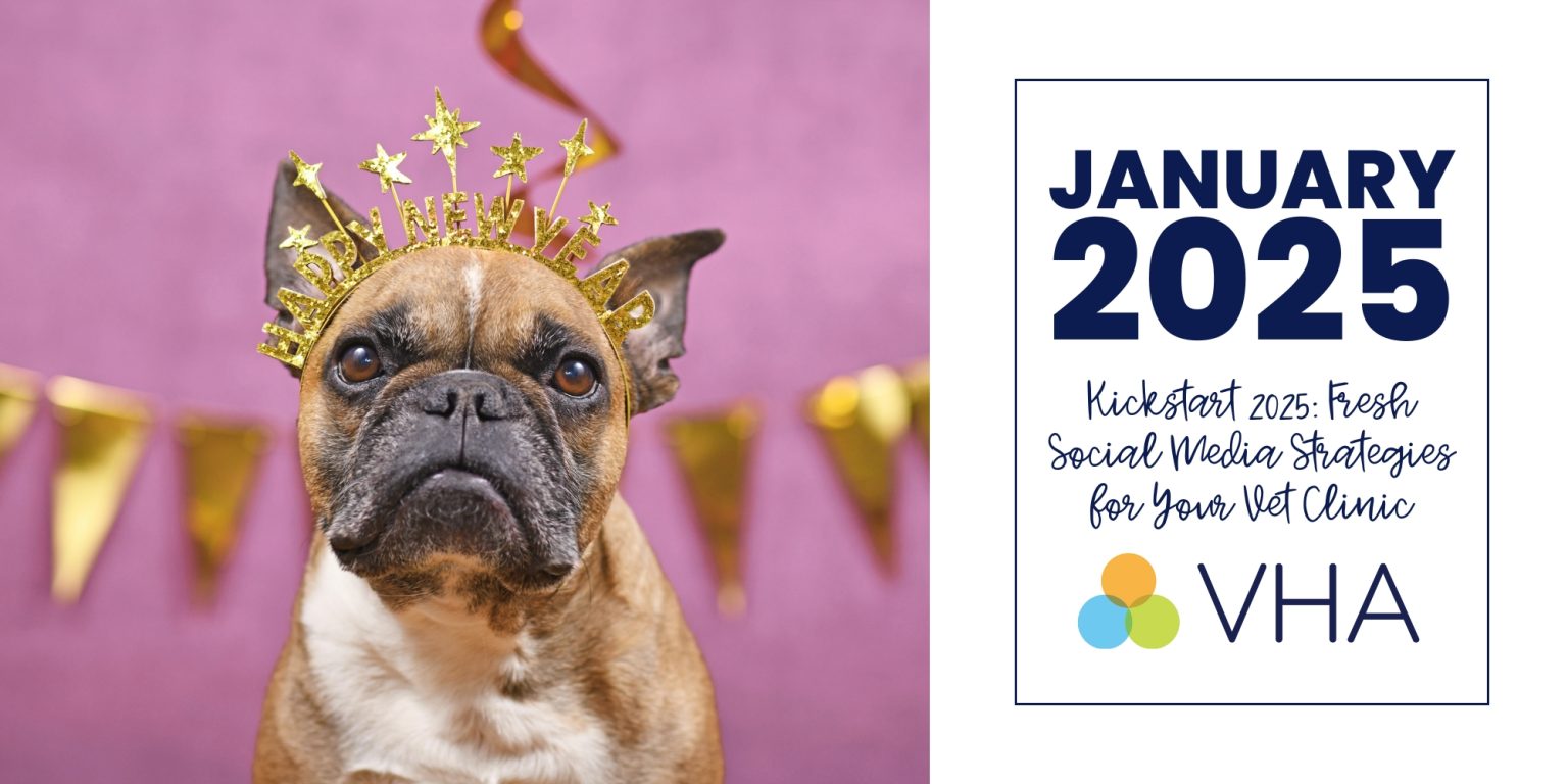 Veterinary Hospitals Association – Helping Veterinary Practices With ...