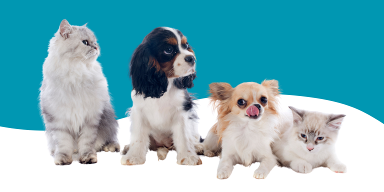 Improving Client Retention Through Exceptional Customer Service ...