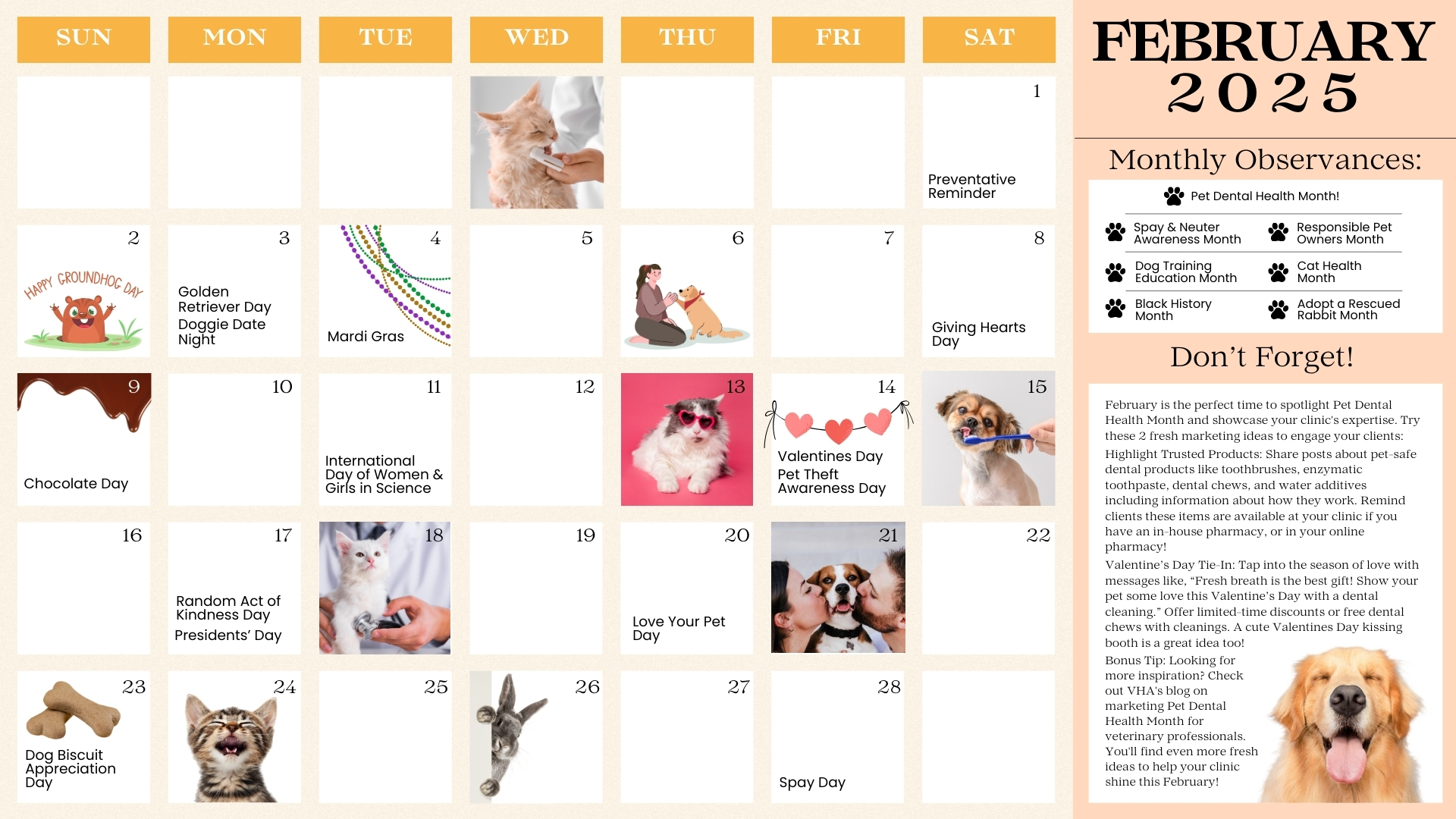 Spread the Love with These February Social Media Ideas for Veterinary ...