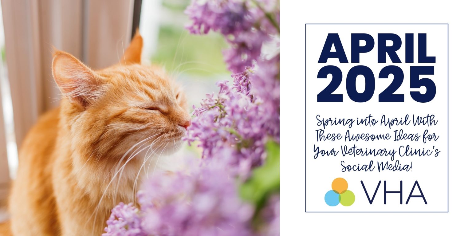 Spring into April With These Awesome Ideas for Your Veterinary Clinic’s ...