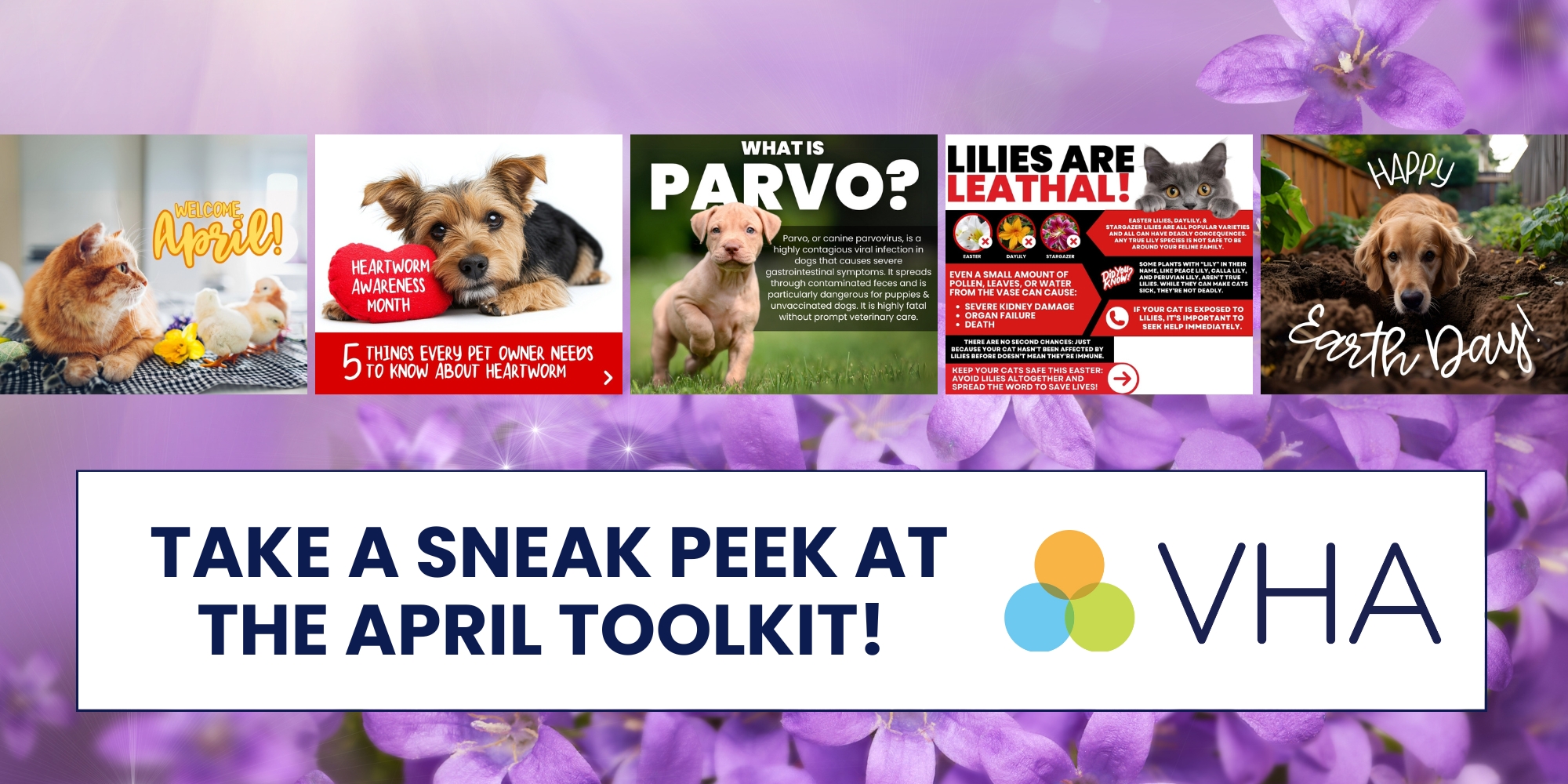 Spring into April With These Awesome Ideas for Your Veterinary Clinic’s ...