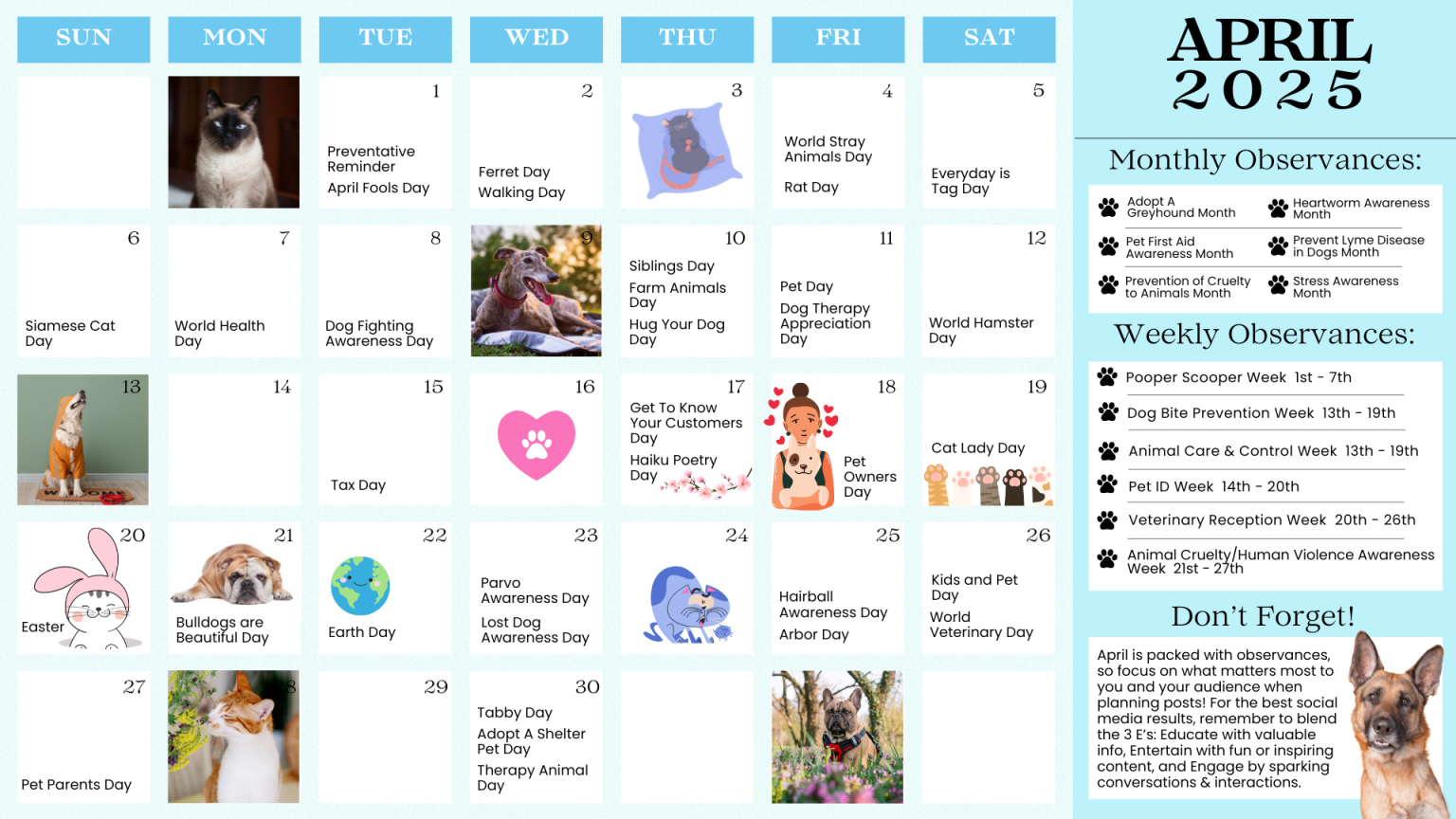 Spring into April With These Awesome Ideas for Your Veterinary Clinic’s ...