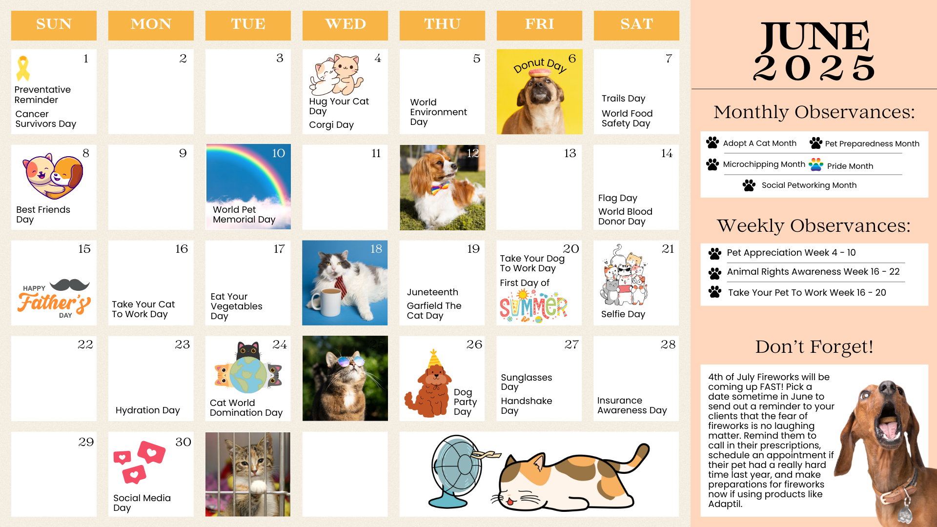 Jumpstart June: Social Media Ideas for Veterinary Clinics – Veterinary ...