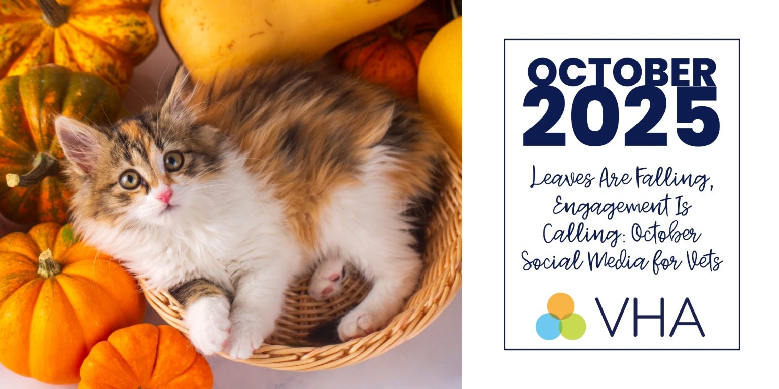 Fantastic Fall Ideas for Your Veterinary Clinic’s October Social Media ...