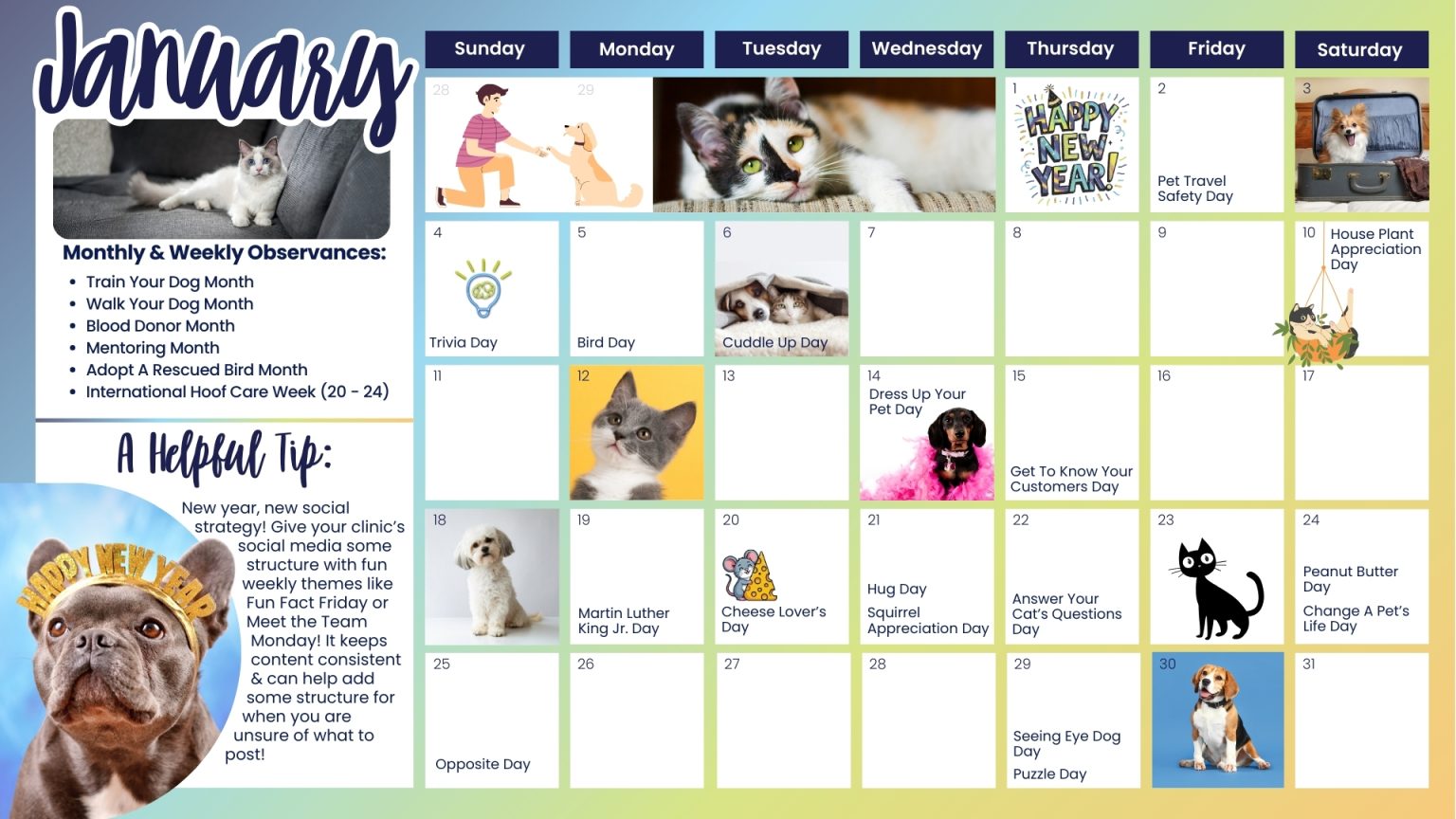 Jumpstart Your Veterinary Social Media Strategy for January 2026 ...