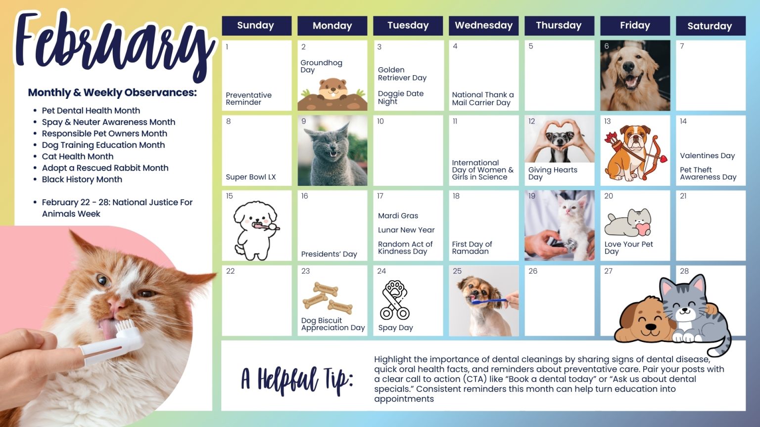 February Content Inspiration for Busy Veterinary Teams – Veterinary ...