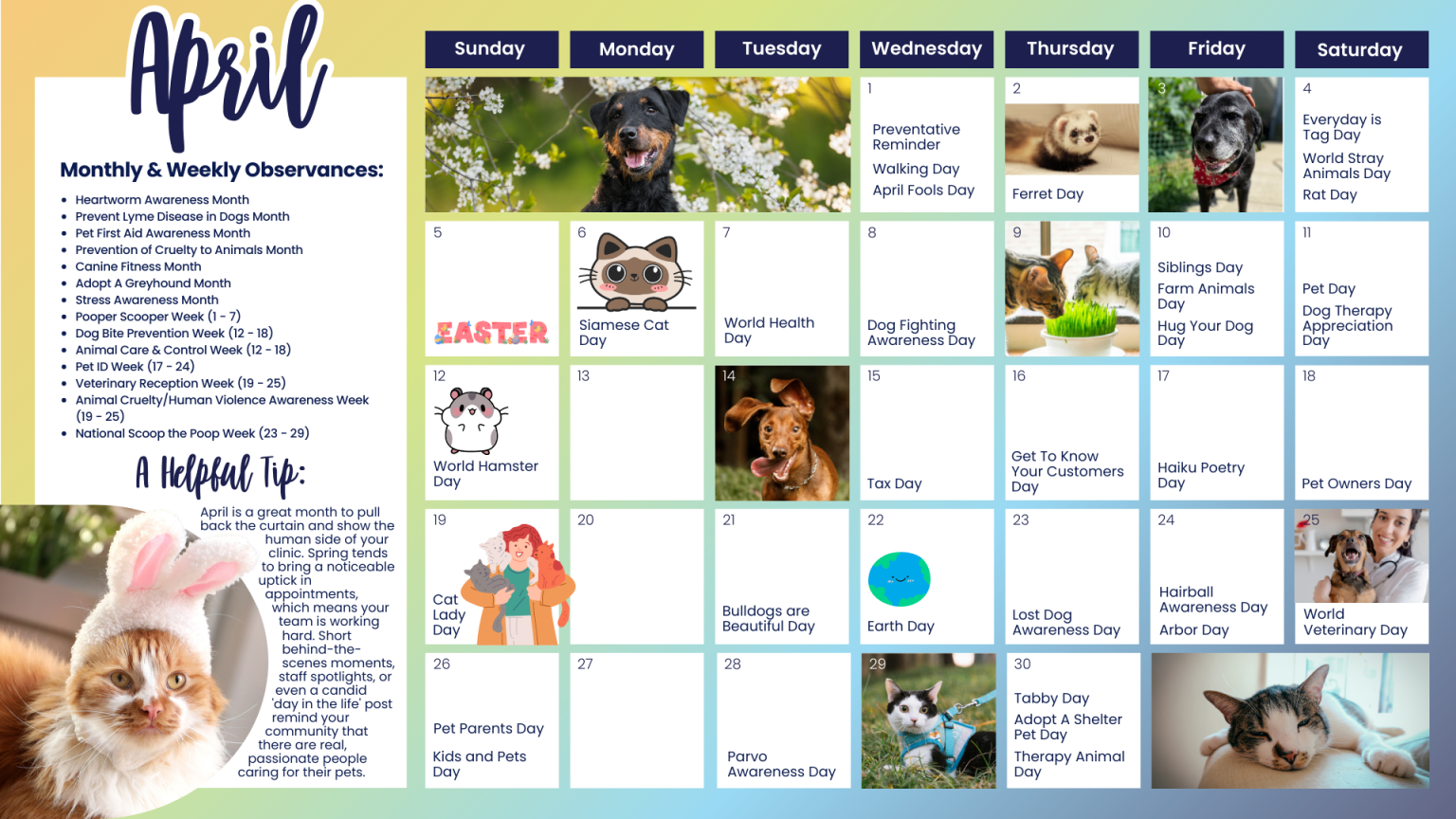 April Veterinary Social Media Ideas: Your Complete Content Calendar ...